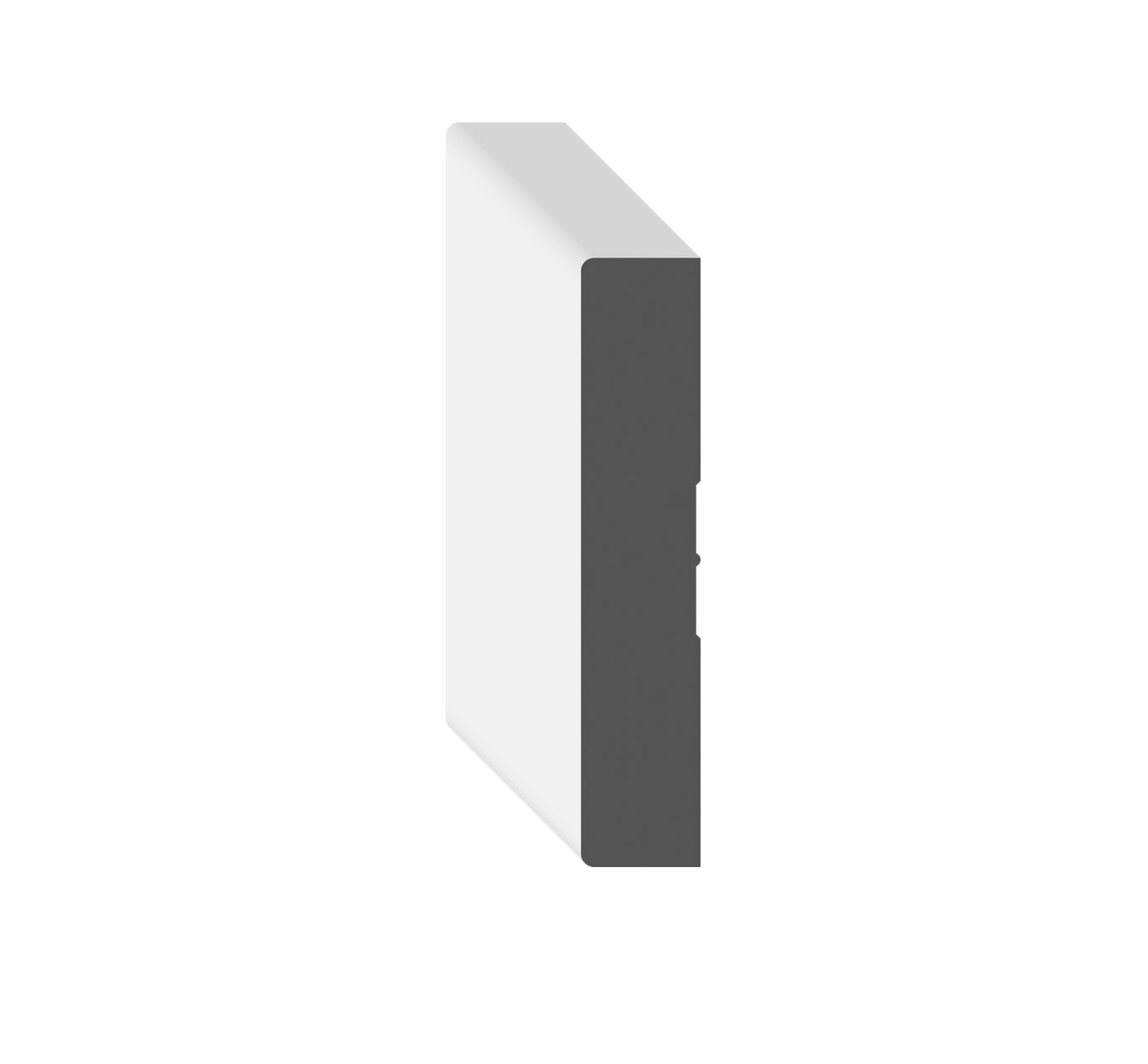 1 X 4 Casing